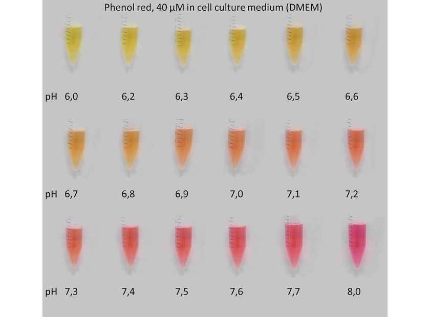 phenol red colour chart